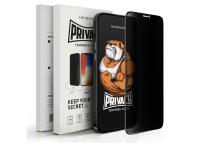China Tempered Glass Anti Spy Privacy Screen Protector For Iphone 11 12 13 14 Pro Max for sale