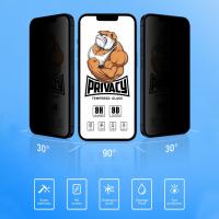China 9H Phone Tempered Glass Privacy Anti Shock Anti Explosion for sale
