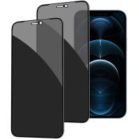 China 9H Anti Spy Tempered Glass Film Privacy Screen Protector For Iphone 12 13 Pro Max for sale
