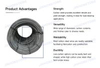 China SAE1006B/SAE1008B/Q195/Q235 High Tensile Strength 1700MPa Steel Wire Rope Galvanized for Mattress Spring for sale