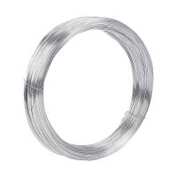 China 1.6mm Galvanized Steel Wire for Hangers and AISI/ASTM/JIS/EN/GB Standard for sale