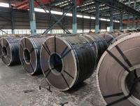 China Hot Roll Steel Coil S235jr Steel Protection Roll 2mm Thickness D50 L500 Steel for sale