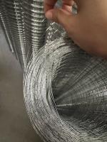 China Galvanized Welded Wire Mesh Rolls with Plain Weave Style Affordable for sale
