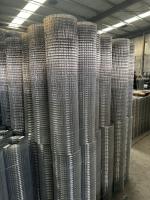 China Hot Dip Galvanized PVC Coating Surface Galvanized Iron Wire Steel Wire Mesh for Filter Screens Size Custom Mild Steel for sale