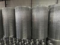 China Hot Dip Galvanized PVC Coating Surface Galvanized Iron Wire Steel Wire Mesh for Filter Screens Size Custom Mild Steel for sale