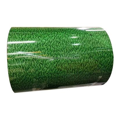 China ISO9001 Certified Color Coated Galvanized Steel Coil Ppgi for Grass Printed Flower in Customized Size and RAL Color for sale