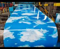 China PPGL PPGI Container Steel Coil in 0.45mm Thickness RAL 9016 Color 5-7 Microns Paint Back for Container Customized Color for sale