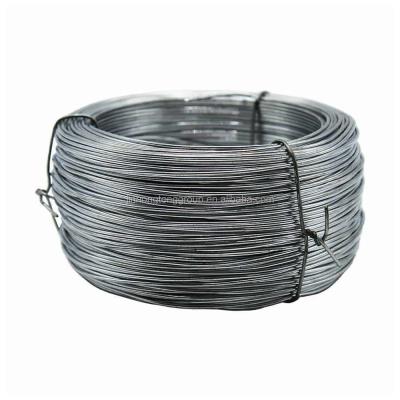 China Competitive Galvanized Steel Iron Wire with Customized Length and BSCI Certificate for sale