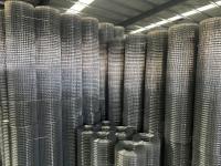 China Perforated Screen 1/2x1 1x1 Hot Dip Galvanized Iron Welded Wire Cloth Mesh / 16 Gauge Electro Galvanized Square Hole Welded Mesh Rolls for sale
