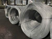China Galvanized Iron Wire for Hanger BSCI Certified and Barbed Wire Coil Included at Affordable for sale