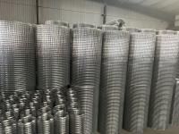 China Protect Fence Square Hole Zinc Coated 2X2 Wire Mesh for Welded Steel Panels Construction for sale