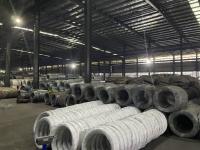China 20 Gauge Galvanized Steel Wire 12/16/18 Gauge Electro GI Binding Wire Tolerance ±1% Suitable for Versatile Applications for sale