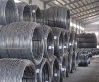 China Factory Customization Cold Drawn Stainless Steel Wire 0.03mm SS Straight Stainless Steel Wire for sale