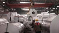 China Sheet Roll Aluminum Coil Newest Price Wholesale 3 5 6 series Aluminium Alloy Metal Customized for sale