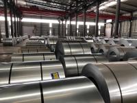 China 0.3mm Galvanized Steel Coil Gi for Sheet Roll Coil Gi Sheet Galvanized Steel Zinc Coated Steel Coil for sale