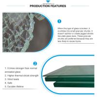 China Modern Style Tempered Glass Panel 4mm 5mm 6mm 8m 10mm 15mm 19mm for Building Security for sale