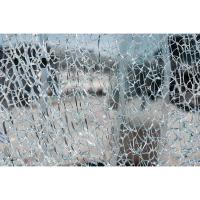 China 4mm Tempered Low-E Glass India Glass Double Door Refrigerator with Fragment State Ⅲ for sale