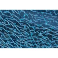 China Per M2 Flat Safety Tempered Glass 4mm 5mm 6mm 8mm 10mm Custom Colored for Shower Room for sale