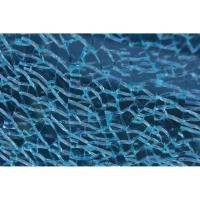 China ISO CCC and CE Certified Building Toughened Tempered Glass Customized Request Accepted for sale