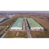 China Float Reflective Low E Tempered/Laminated/Double Glazing Insulated/Toughened/Building/Window Glass/Shower Door for sale