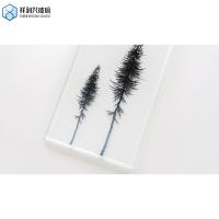 China Customized Tinted Tempered Glass with Intricate Pattern Design Meeting GB15763.2-2005 for sale