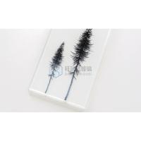 China Main Product Changhong Reeded Corrugated Patterned Glass Window Film with CE Certificate for sale