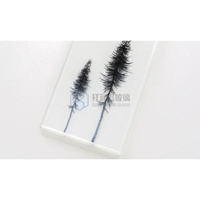 China Main Product Changhong Reeded Corrugated Patterned Glass Window Film with CE Certificate for sale