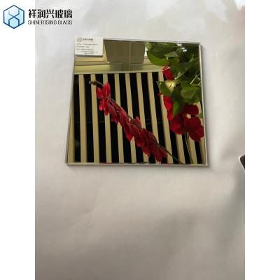 China Modern 2.0mm 3.0mm 3.5mm 3.8mm 4.7mm 5mm Tinted Colored Silver Glass Sheet for Europe for sale