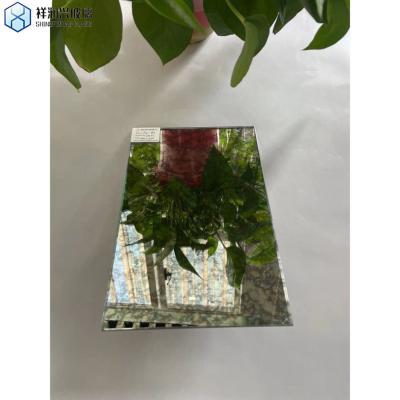 China Decorative Wall Mirror for Doors Wardrobe Cutting Edging Drilling Tempering ISO Certified for sale