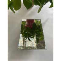China Tempered Glass Antique Salon Mirror Panels Antique Mirror Glass Sheet for sale