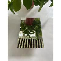 China Antique Luxury Mirror Glass 3mm 5mm Other Float Glass Layers as The Customer prime for sale