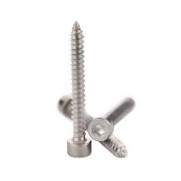 China Cylindrical Head Hex Slot Self Tapping Screws ST2 ST6mm Stainless Steel A2 70 for sale