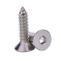China CSK Head Hex Slot Self Tapping Screws Carbon Steel Stainless Steel ST1.7-6.3mm for sale