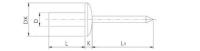 China GB12615 Enclosed Flat Round Head Core Pulling Rivets 3.2-6.4mm Diameter 6-40mm Length for sale