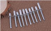 China GB12615 Enclosed Flat Round Head Core Pulling Rivets 3.2-6.4mm Diameter 6-40mm Length for sale