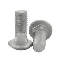 China Stainless Steel Coach Bolts Heavy Duty M10 x 100mm for Structural Fastening for sale