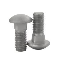 China Stainless Steel Coach Bolts Heavy Duty M10 x 100mm for Structural Fastening for sale