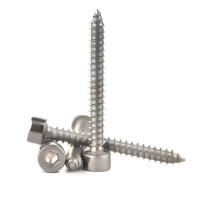 China Cylindrical Head Hex Slot Self Tapping Screws ST2 ST6mm Stainless Steel A2 70 for sale