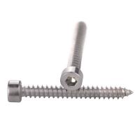 China Cylindrical Head Hex Slot Self Tapping Screws ST2 ST6mm Stainless Steel A2 70 for sale