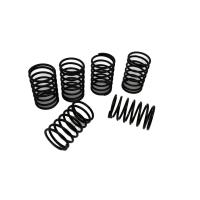 China OEM Spring Alloy Coil Springs Special-shape and Conventional Compression Spring for sale