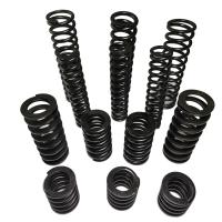 China OEM Spring Alloy Coil Springs Special-shape and Conventional Compression Spring for sale