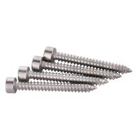 China Cylindrical Head Hex Slot Self Tapping Screws ST2 ST6mm Stainless Steel A2 70 for sale