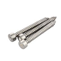 China Cylindrical Head Hex Slot Self Tapping Screws ST2 ST6mm Stainless Steel A2 70 for sale