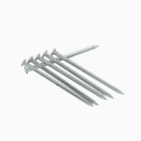 China Twist Concrete Nails Carbon Steel 1.7-5.0mm 16-155mm for Building Construction for sale