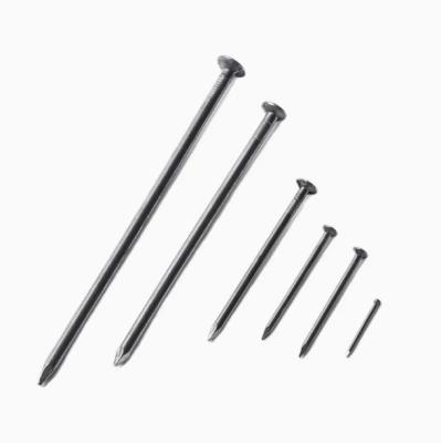 China High Quality 55# Carbon Steel Cable Nails 1.5-3.5mm Diameter 15-60mm Length for Plastic Wire Clips for sale