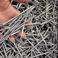 China High Quality 55# Carbon Steel Cable Nails 1.5-3.5mm Diameter 15-60mm Length for Plastic Wire Clips for sale