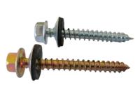 China Hexagon Head with EPDM Bonded Washer  Self tapping screws for sale