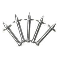 China Steel Washer Galvanized Steel Common Nails for sale