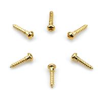 China Customized Shouldered Self Tapping Screws for String Tree ST2.0-6.3 Metric Inch for sale