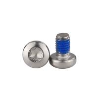 China Pan head Torx slot full threaded nylon glue patched machine screws for sale